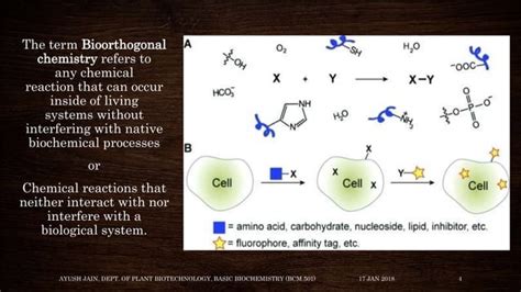 Bioorthogonal1 Pptx Biological Sciences Science