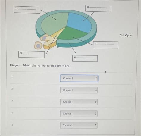 Solved Diagram Match The Number To The Correct Label Chegg Com