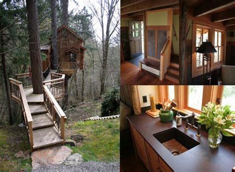 Tree Houses For Adults Tree House Workshop Aspires Great Heights With A Vision For Luxury