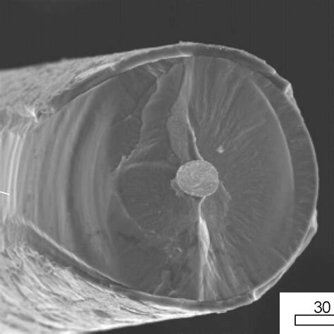 Fracture Surface Of One As Extracted Fibre Broken At 271 Gpa The