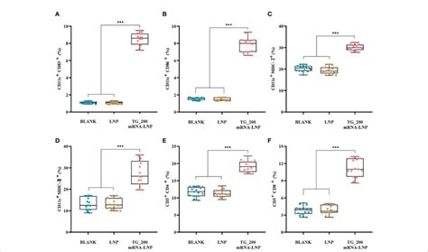 Flow Cytometry Analysis Of Dendritic Cells Dcs And T Lymphocytes In