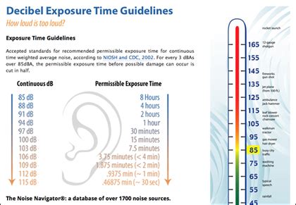 Niosh Noise Level Chart A Visual Reference Of Charts Chart Master