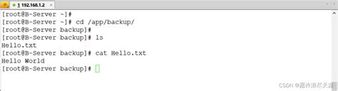 使用 Rsync 实现远程同步，以及实时同步rsync实时备份 Csdn博客