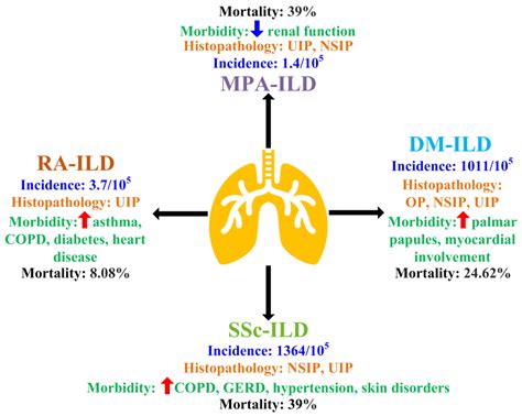 Mixed Connective Tissue Disease Interstitial Lung Disease At Scott Sommer Blog