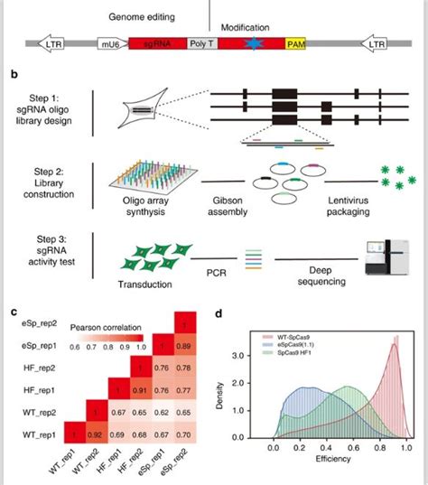How To Design Guide Rna