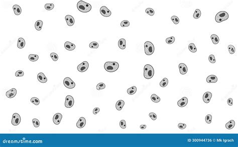 Cell Multiplying Icon Animation Stock Footage Video Of Granule Life 300944736