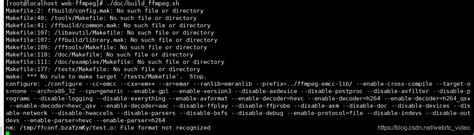 搭建webassembly网页播放器三 Emcc编译ffmpeg编译库emcc 编译 Ffmpeg Csdn博客