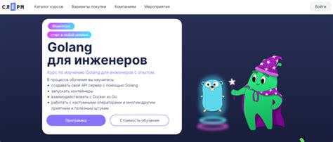 ТОП 15 курсов Golang обучение языку Go для начинающих Timeweb Community