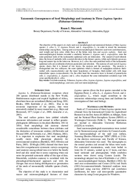 Pdf Taxonomic Consequences Of Seed Morphology And Anatomy In Three Lupinus Species Fabaceae