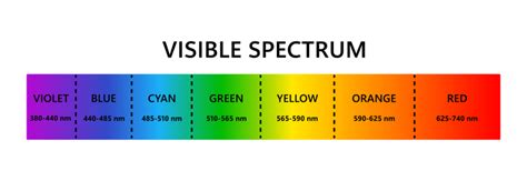 Visible Light Spectrum Wavelength Ray Color Rainbow Chemistry Png