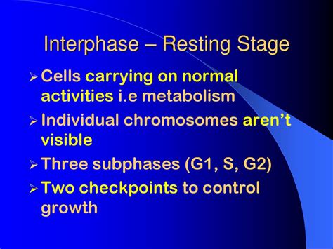 Copyright Cmassengale Ppt Download