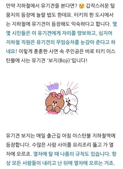 보지의 여행 에펨코리아