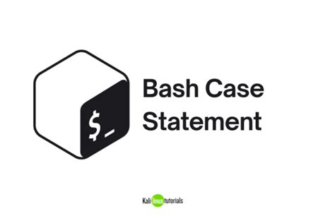 Mastering The Bash Case Statement With Simple Examples Kali Linux Tutorials