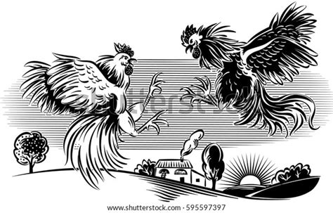 Two Cocks Facing Each Other Fight Stock Vector Royalty Free 595597397