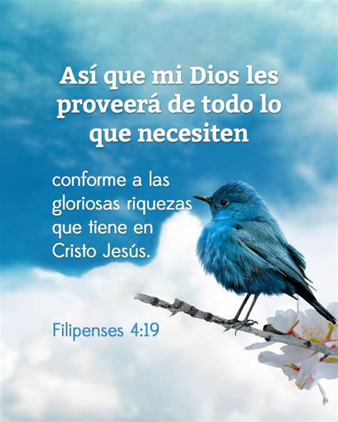 Dios Les Proveerá De Todo Lo Que Necesiten Filipenses 4 19 Imagenes