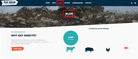 19 Woocommerce Online Store Examples In 2025 Inspiration
