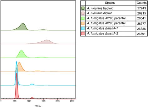 Fluorescence Activated Cell Sorting FACS Analysis Of A Nidulans And Download Scientific
