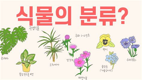 [식물관리와 마음돌봄] 식물의 분류 인위분류와 자연분류 원예와 움벨트 Youtube