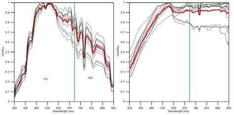 Thirteen Samples Of Spectral Shapes For Sea Surface Images Strongly Download Scientific Diagram
