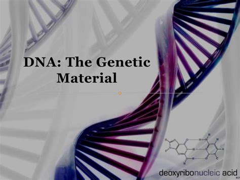Genetic Materials Ppt