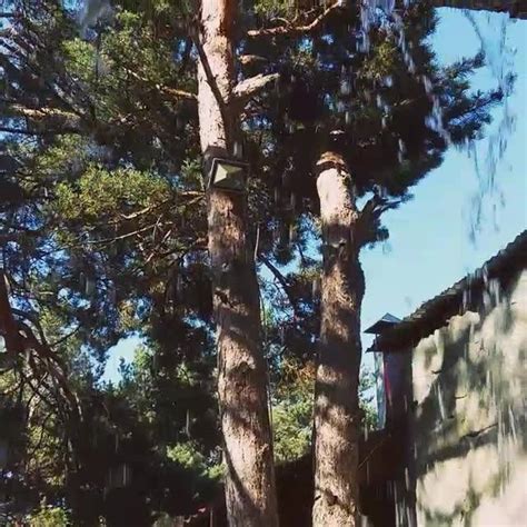 «Անահիտ Հանգստյան Տուն Home Facebook