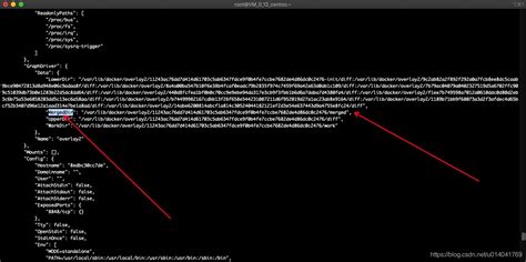 关于docker安装nacos1 2 0 连接mysql8 0 19 报错无法启动问题 docker启动nacos jar报错 pomelo苦