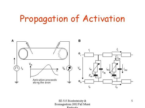 Cable Model Voltage Clamp Propagation Of An Action