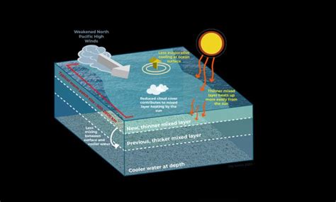Marine Heat Waves IAS EXAM