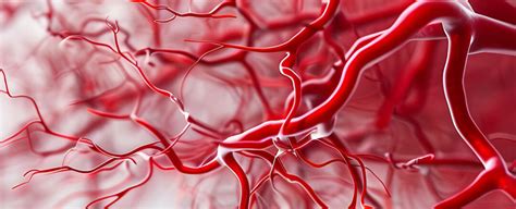 Microvascular Dysfunction