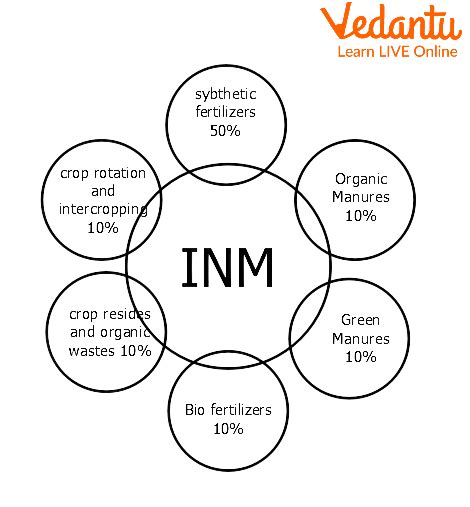 Nutrient Management In Biology Key Concepts And Exam Tips