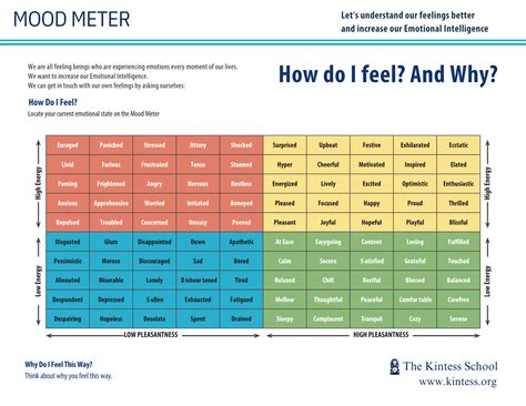 Mastering Emotions With The Mood Meter The Kintess School