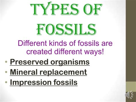Fossils Ppt