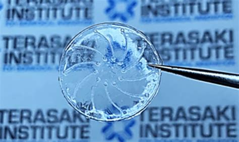 Созданы линзы, увлажняющие глаза естественным образом - 4PDA