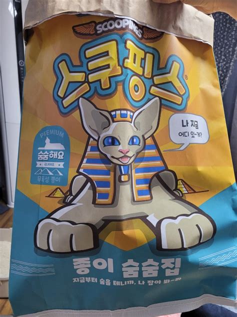 🐈궁디팡팡 캣페스타🐈‍⬛ 2탄 네이버 블로그