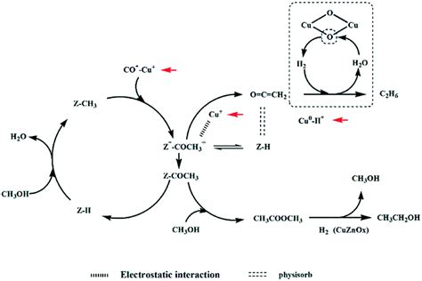 Ch3cooch3 Lewis Structure