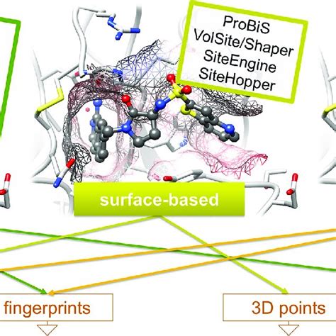 Binding Site Modeling Approaches For Different Comparison Algorithms Download Scientific