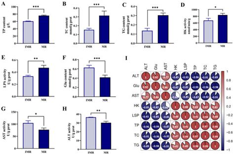 Matrix Energetics Sex Deals
