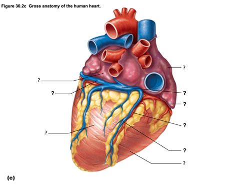 Lab Lesson 4 13 Diagram Quizlet