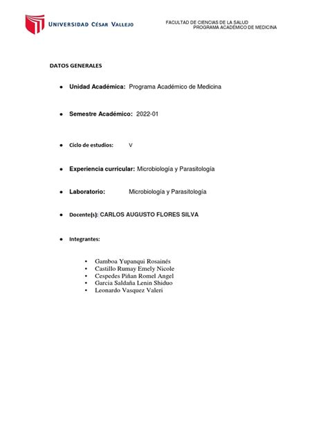 Esquema Visual 2 Pdf