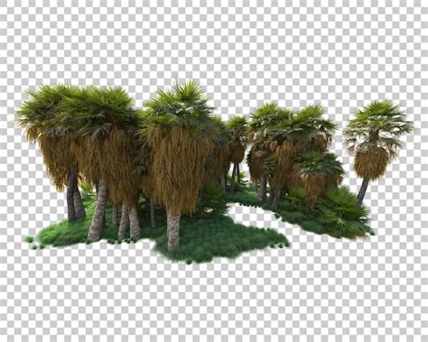 투명 한 배경 3d 렌더링 그림에 고립 된 단풍 섬 프리미엄 Psd 파일