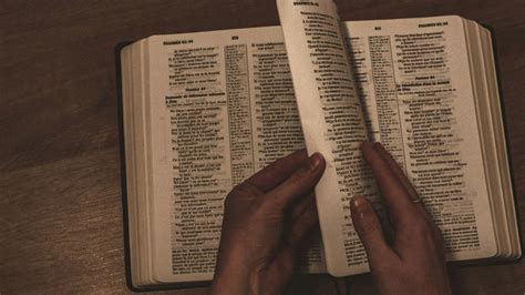 How To Connect Elasticsearch To Django Rest Framework