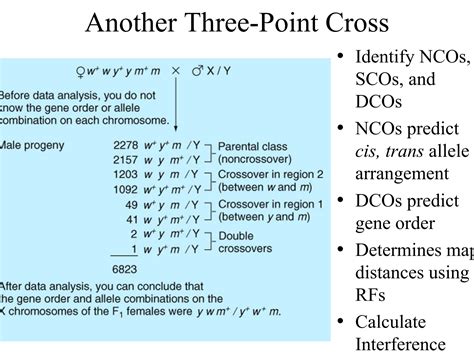 Solved What Is The Gene Map Of The Three Point Crossanother