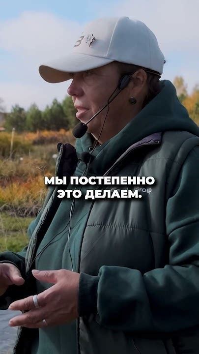 ГОТОВИМ САД К ЗИМЕ обрезка растений уход удобрения Youtube