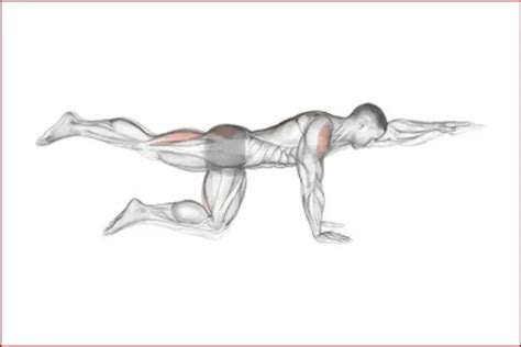 Ejercicios Para Fortalecer El Core