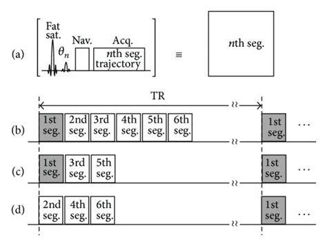 Simplified Pulse Sequence Diagram A The Definition Of A Segment In