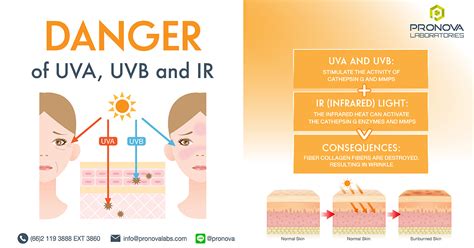 Dangers Of Uva Uvb And Ir Pronova Laboratories
