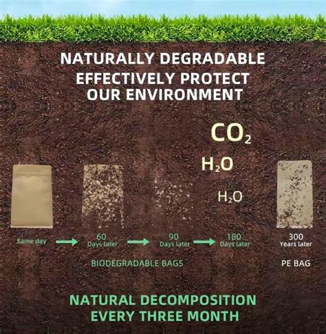 Eco Friendly Pla Biodegradable Packaging Pouch Wholesale