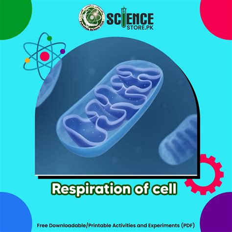 Respiration Of Cell Online Sciencestore Pk