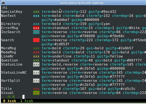 Vim Color Is Different Between Local And Remote Machines Screen