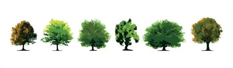 2d Tree Vector Art Icons And Graphics For Free Download